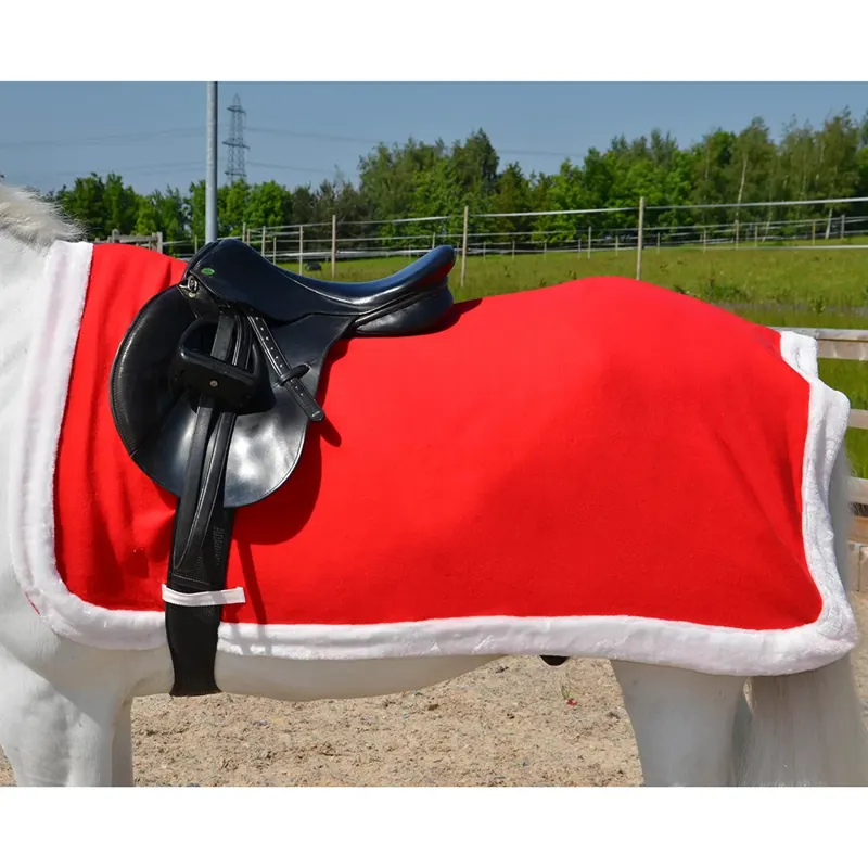 Hy Equestrian Christmas Santa Exercise Sheet Red/White