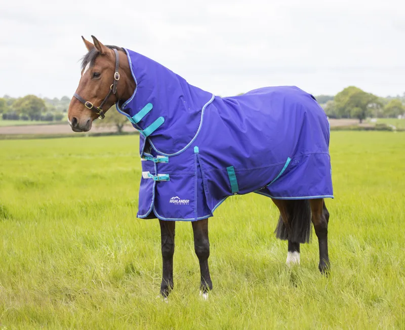 Shires Highlander Original 50g Turnout Rug And Neck Royal