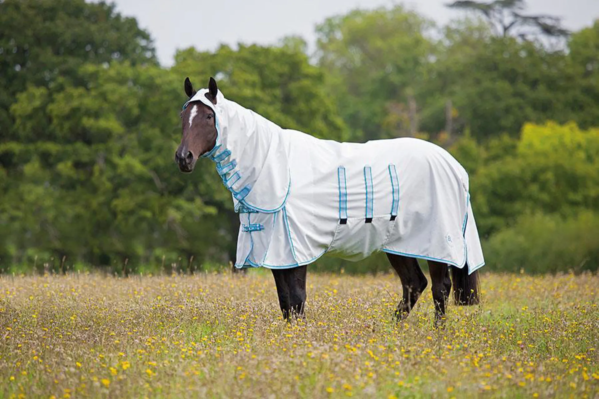 Bridleway Sweet-Itch Bug Stoppa Fly Rug WhiteBlue